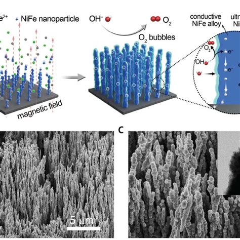 Morphological And Structural Characterisation Of Ni X F 1−x