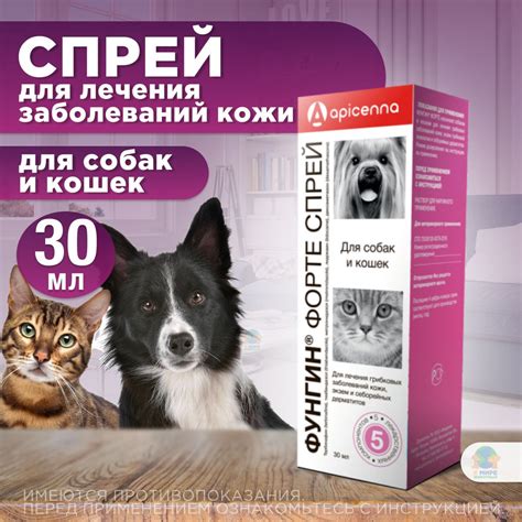 Спрей Фунгин Форте Apicenna для лечения заболеваний кожи у собак и ...