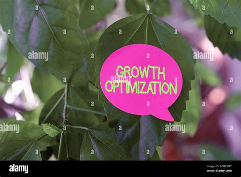 Sign Displaying Growth Optimization Business Approach Finding An Alternative With The Most Cost