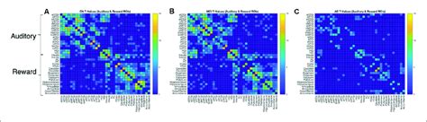 roi to roi connection matrices and corresponding brain connectomes