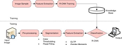 Figure 1 From Tomato Leaf Disease Detection Using Deep Learning Techniques Semantic Scholar