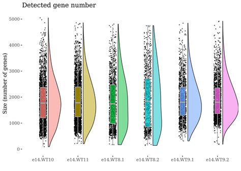 cotan datasets analysis e14 5 mouse cortex loo 2019
