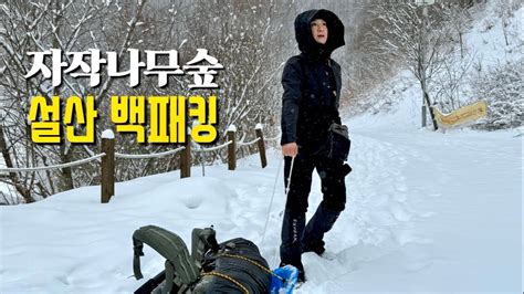 정선 자작나무숲 설산백패킹 겨울왕국 백패킹 설산 눈썰매 동계백패킹 설중캠핑 Youtube
