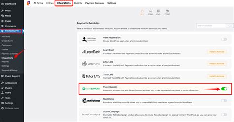 How To Integrate Fluent Support With Paymattic In Wordpress