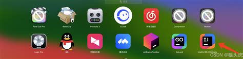 最新版 Intellij Idea 下载、安装与基础配置教程 （支持 Windows Macos Ubuntu） Csdn博客
