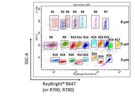 Custom Cytometric Bead Array Rayplex® Raybiotech