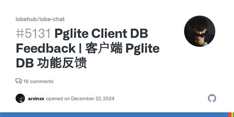 pglite client db feedback 客户端 pglite db 功能反馈 · issue 5131 · lobehub