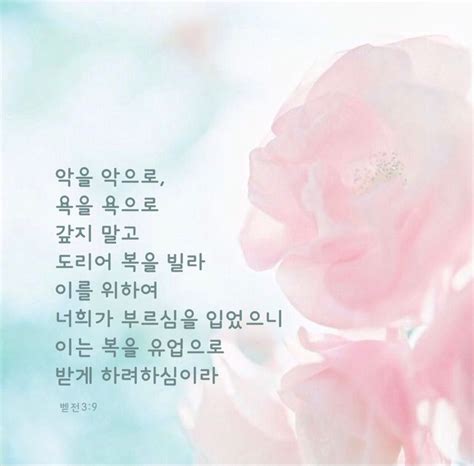 악을 악으로 욕을 욕으로 갚지 말고… 성경 성경구절 성경 성경 구절 확언
