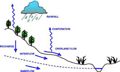 9 Schematic Of Processes In The Mike Hydro Nam Rainfall Runoff Model Download Scientific