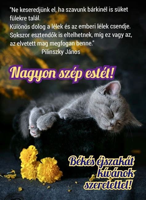 Pin Di Györgyné Su Jó éjt