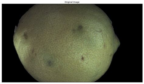 Python Identify Black Dots On Lemon Stack Overflow