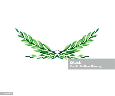 흰색 배경에 녹색 가지가있는 다채로운 구성 식물 삽화 엽서 초대장 포스터 및 책에 대한 수채화 요소 0명에 대한 스톡 벡터 아트 및 기타 이미지 Istock