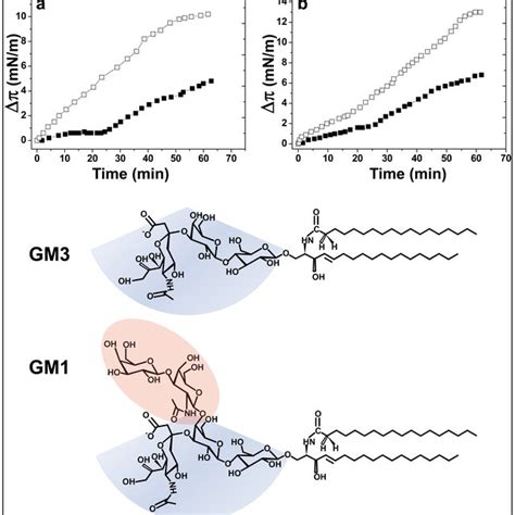 Effects Of Cholesterol On The Recognition Of Synthetic Laccer