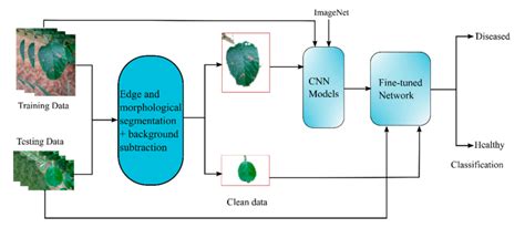 Framework Of The Proposed Method 12 Download Scientific Diagram