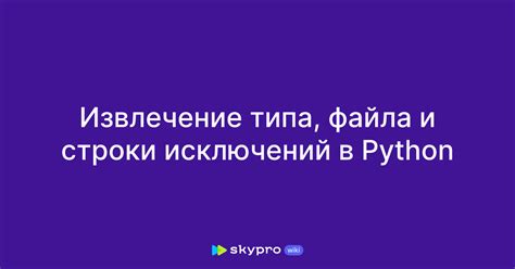 Извлечение типа файла и строки исключений в Python