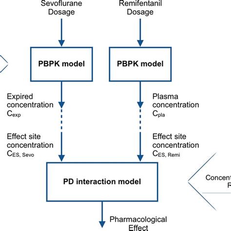 Flowchart For The Generation Of A Virtual Population From The Pbpk Pd
