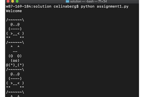 Solved Part 1 Ascii Art Write A Set Of Functions That Will