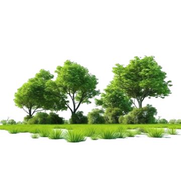 D Rendering Image Of Grass Field Island Presentation Platform Texture PNG Transparent Image