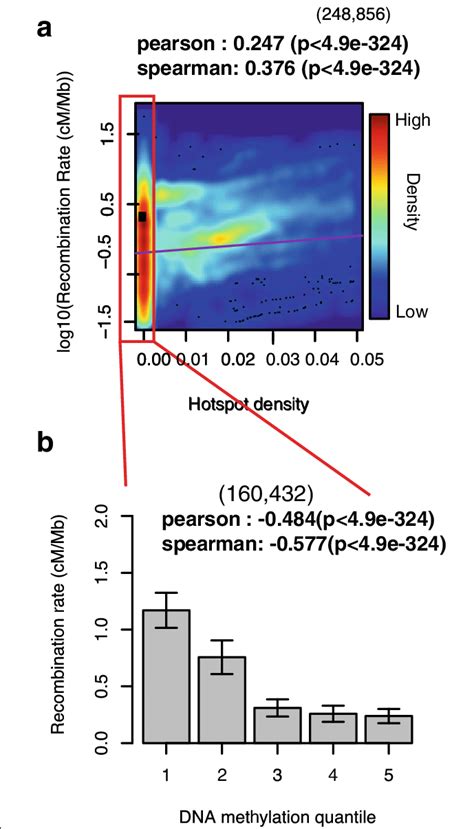 Recombination Rate Valleys Are Correlated With Hotspot Density And Dna