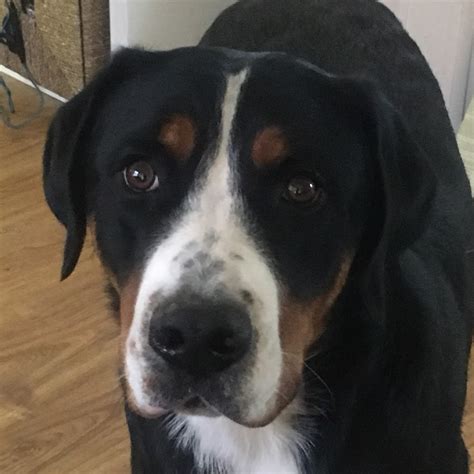 Aiden Davidson 99 Youtube