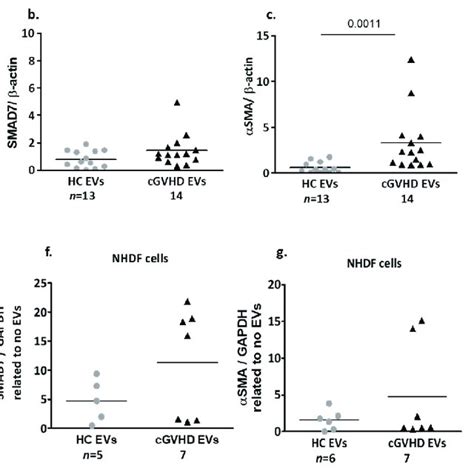 Interaction And Effects Of Placental Evs On Dermal Cell Function Evs