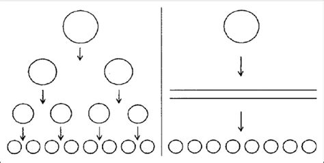Schematic Representation Of Stepwise Left And Transient Right