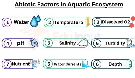 Aquatic Ecosystem