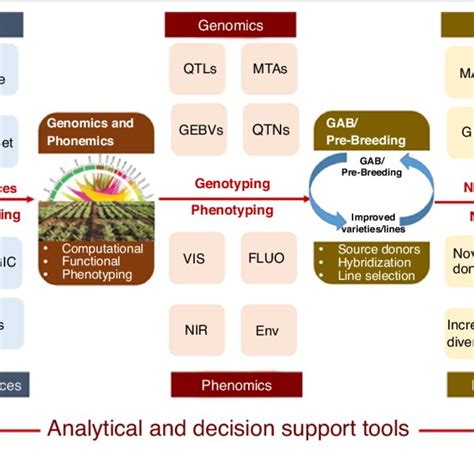 A Flowchart For Genome Assisted Breeding Gwas Genome Wide Association