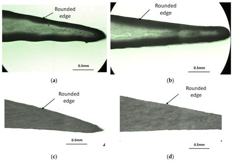 Lateral Surface View Of The Airfoil On Trailing Edge Zone A Glossy Download Scientific