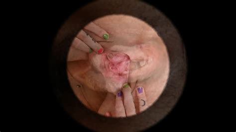 Female Textures Sweet Nest Hd 1080pvagina Close Up Hairy Sex Pussy