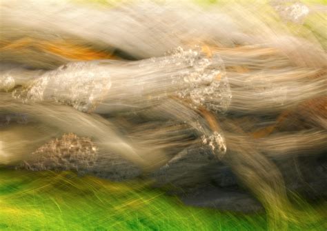 Grassy Texture Photos Download The Best Free Grassy Texture Stock