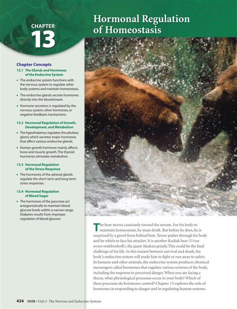 pdf hormonal regulation chapter 13 of homeostasisstandring2 weebly