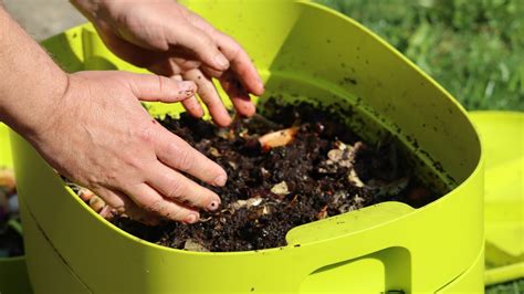A Beginners Guide To Vermicomposting