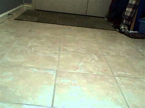 Real Leprechaun Caught On Tape