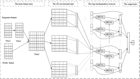 Our Proposed Bidirectional Recurrent Neural Networks Framework