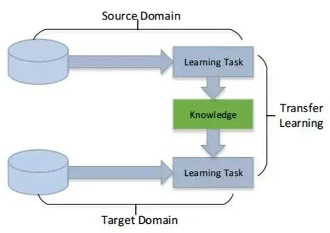 pytorch 图像基础篇学习二：经典卷积神经网络模型微调 知乎