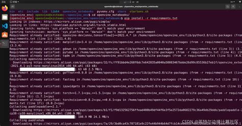 OpenVINO Notebooks教程-上篇_openvino notebooks教程-CSDN博客