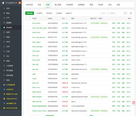 【教程】可用浏览器访问的linux远程桌面与云端工作站 Kasm Workspace安装与部署 开发调优 Linux Do