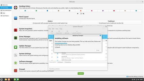 Install Linux Mint Cinnamon TestingDocs