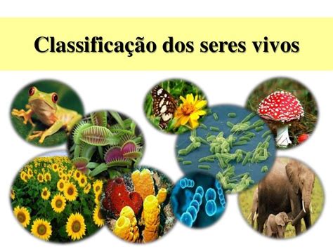 Classificação Dos Seres Vivos