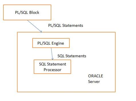 Introduction To PL SQL Padhle
