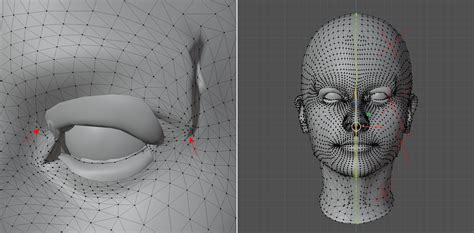 Model Has Weird Mesh Deformation Need Help Modeling Blender Artists