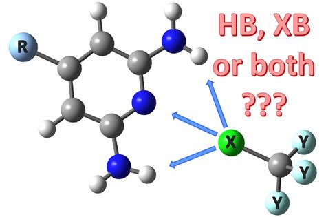 Cooperation/Competition between Halogen Bonds and Hydrogen Bonds in Complexes of 2,6 ...