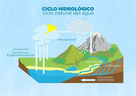 Etapas Del Ciclo Del Agua Ciclo Da água O Que é Etapas Mapa