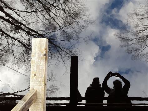 Is Spongebob Gay Exploring 25 Years Of Speculation And Lgbtq