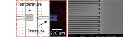 2 MEMS Multisensory Model With SEM Image Download Scientific Diagram