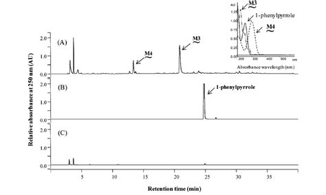 Hplc Elution Profiles Of The Metabolites M3 And M4 Produced From
