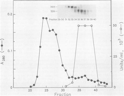 Size Fractionation Reveals Unequal Growth Inhibitory Activities Of