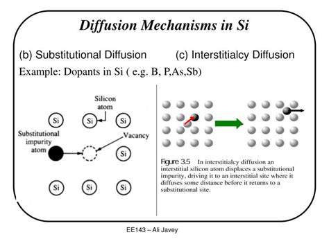 Ppt Section 7 Diffusion Powerpoint Presentation Id 1709798