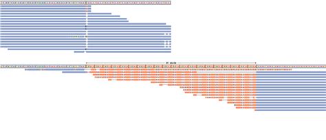 Integrate GraphAlignmentViewer Issue Clinical Genomics Scout GitHub